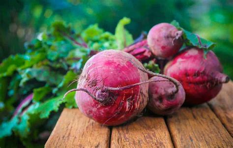 Beetroot The Nutrient Packed Root That Can Transform Your Health