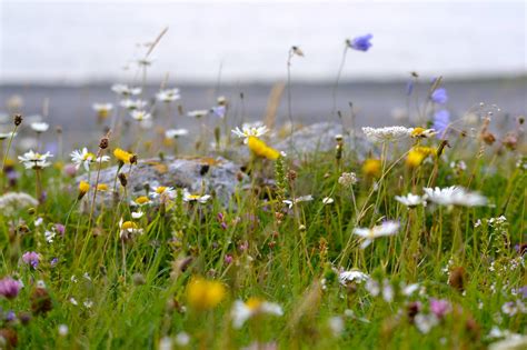 Anthony Mcgeehan Anthony Mcgeehan Photography