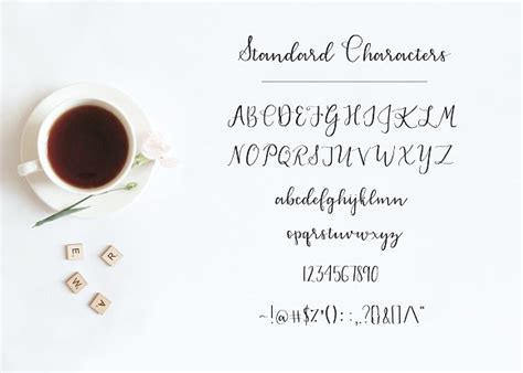 Abigail Script Free Font
