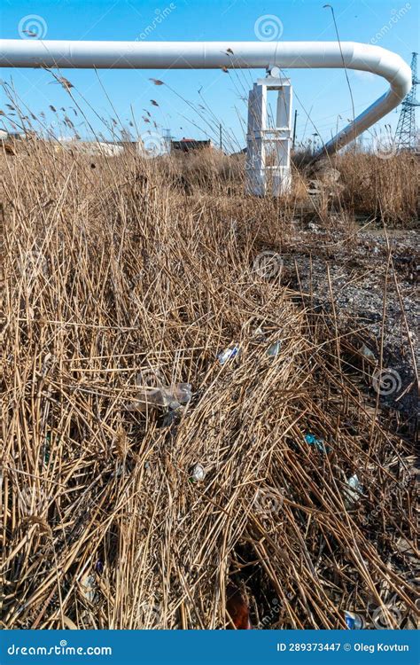 Pollution With Plastic Waste And Microplastics On The Shore Of The