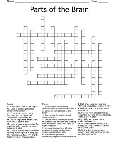 Newsday Crossword Puzzle Brains Only New York Crossword Puzzle