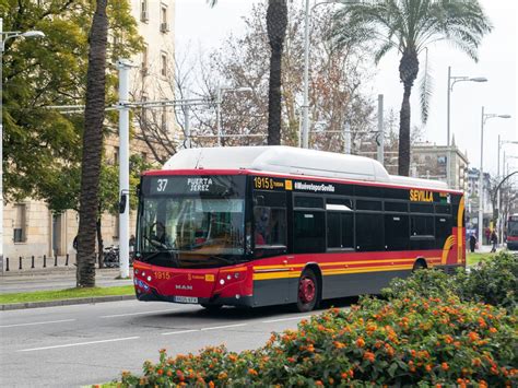 Tussam ofrecerá servicio gratuito tras el España Escocia en La Cartuja Radio Sevilla