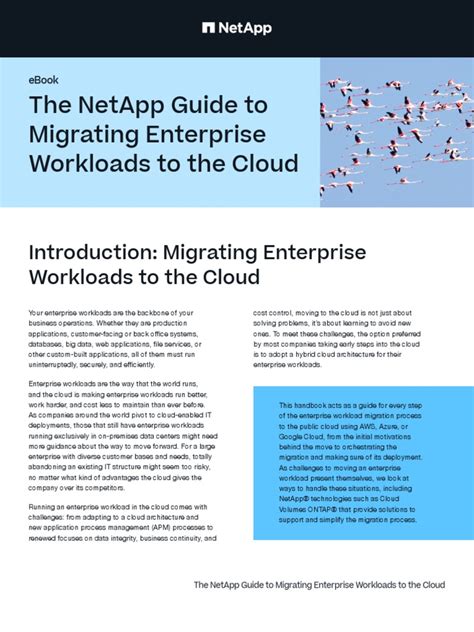 Netapp Guide To Clean Migration Pdf Cloud Computing Databases