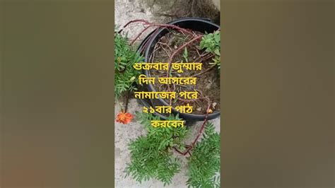 শুক্রবার জুম্মার দিন আসরের নামাজের পরে ২১ বার এই দোয়াটি পাঠ করুন