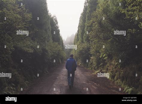 A Man Walking On Dirt Path Through A Foggy Green Forest Stock Photo Alamy