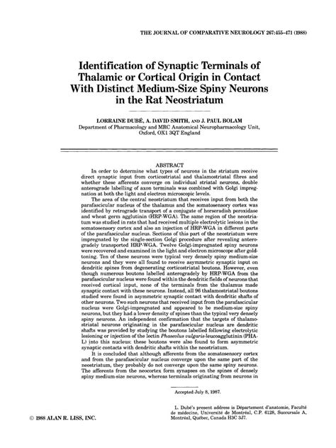 Digital Article Delivery Services On Linkedin Identification Of Synaptic