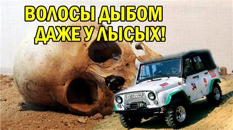 ВОЛОСЫ ДЫБОМ ДАЖЕ У ЛЫСЫХ ДОКУМЕНТАЛЬНЫЙ ФИЛЬМ Hd Youtube