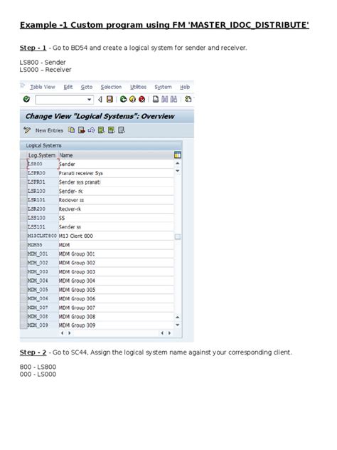 Custom Idoc Setup In Sap Step By Step Pdf Computer Engineering