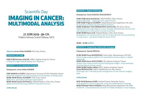 Imaging In Cancer Multimodal Analysis Ibv