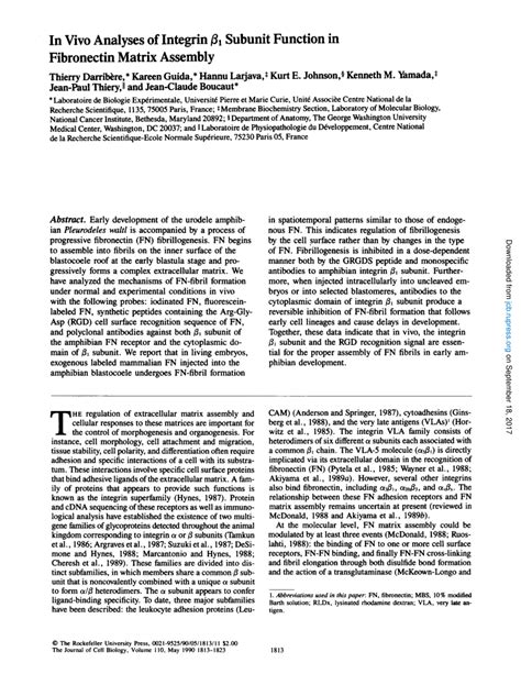 Pdf In Vivo Analyses Of Integrin Beta 1 Subunit Function In