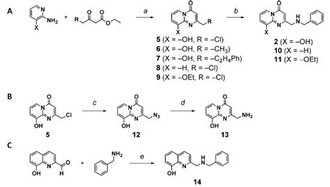 Scheme 1 Synthesis Of The Ppo Scaffold And Compounds A Synthesis Of