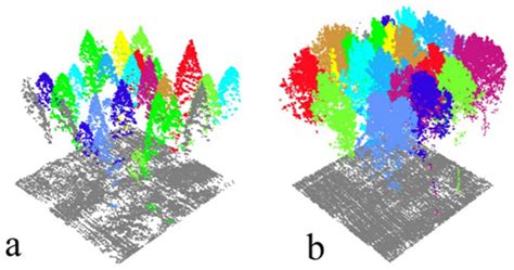 Figure 2 From Individual Tree Structural Parameter Extraction And Volume Table Creation Based On
