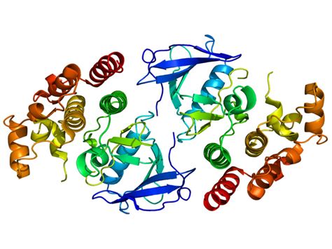[a Z] Gen Braf Gen Tiền Ung Thư Gây Bệnh ở Người