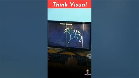 Exploring The Art Of Graphics Coding 🎨 Graphicscoding Youtube