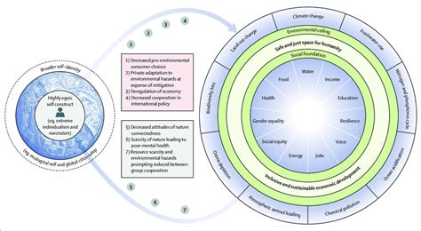 Systemic Feedback Loops Between Self Identity Planetary Boundaries