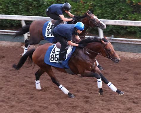 【毎日ベスト3】明神記者が選ぶcbc賞の栗東追い切り速報ベスト3 毎日ベスト3 競馬コラム 日刊スポーツ