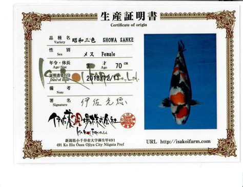 Showa Grand Koi Llc