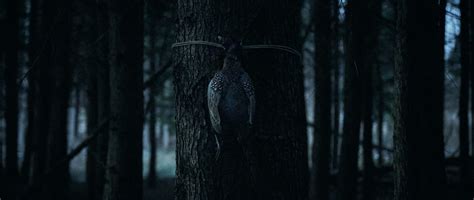 Bambi The Reckoning Dan Allen Films