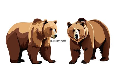 無料イラスト リアルな描画のクマ（熊）のイラスト素材