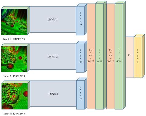Segmentation And Multi Scale Convolutional Neural Network Based Classification Of Airborne Laser