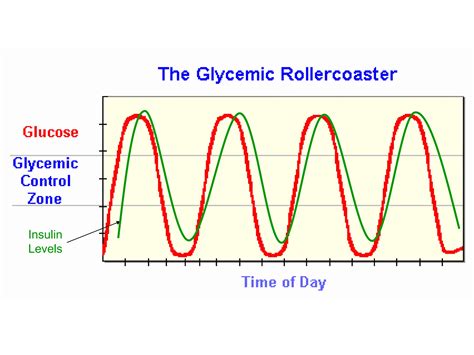 16 Pancreas Physiology Presentation Ppt Ppt