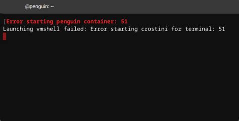 Fix Chromebook Error Starting Penguin Container Technipages