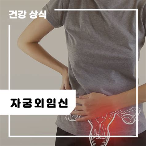 자궁외임신 증상 및 원인과 수술 임테기 반응 생리 통증 네이버 블로그