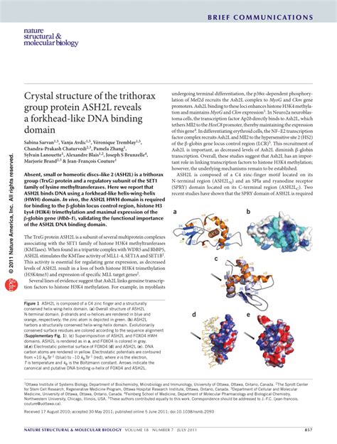Pdf Crystal Structure Of The Trithorax Group Protein Ash2l Reveals A