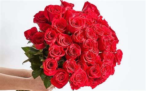 Valentines Day 50 Roses At Costco Free Stuff Finder