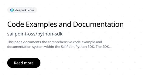 Code Examples And Documentation Sailpoint Osspython Sdk Deepwiki