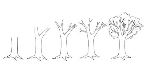 How To Draw A Tree Step By Step Image Guides