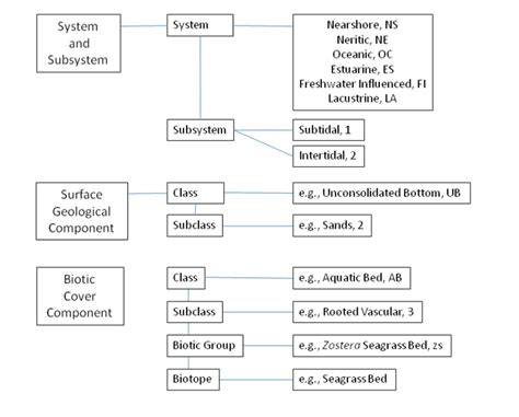 Components And Structure Of Bcc Biotic Cover Component And Sgc