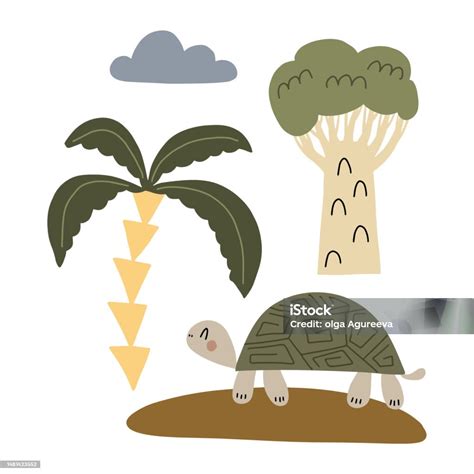 흰색 바탕에 열대 식물로 둘러싸인 귀여운 거북이 아기 옷 엽서 포스터에 완벽 한 벡터 그림 거북이에 대한 스톡 벡터 아트 및 기타 이미지 Istock