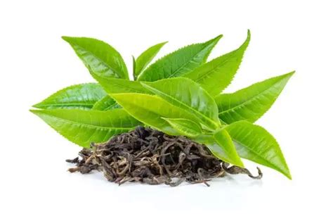 Hanya Butuh 1 Bahan Minuman Begini Trik Melebatkan Rambut Yang M