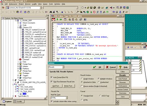 Rapidsql By Embarcadero Product Review A Development Environment For Database Programmers