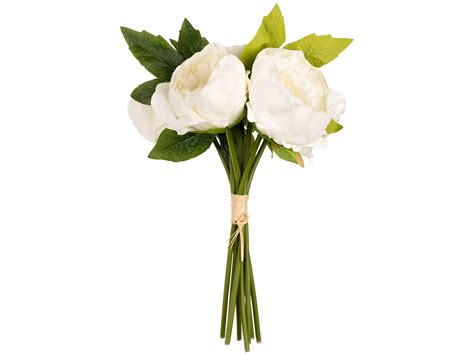 Aurora Peony Bunch X 5 White Eleganzafloral