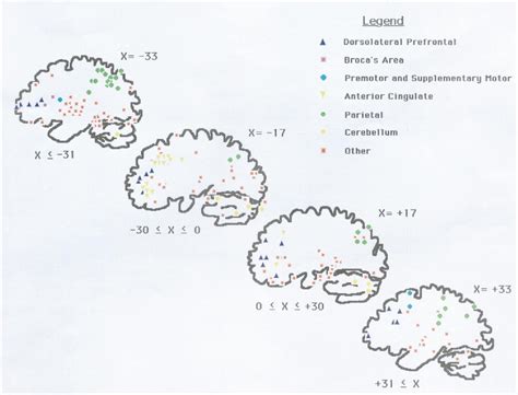 Figure 1 From The Role Of Parietal Cortex In Verbal Working Memory Semantic Scholar