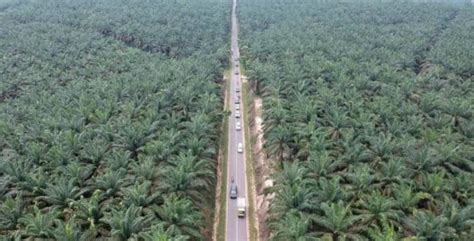Deretan Jalur Rawan Lintas Sumatera Waspada Jalan Rusak Penampakan