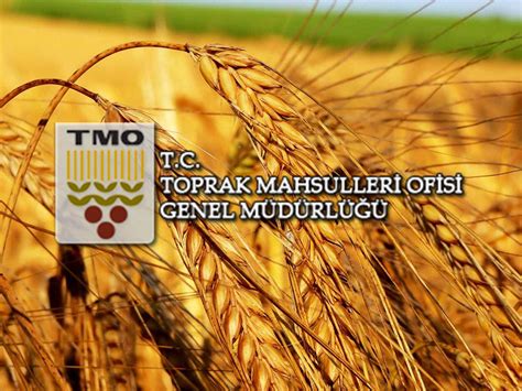 Tmo 2023 Hububat Alım Detaylarını Belirledi Bakanlık Tarım Orman