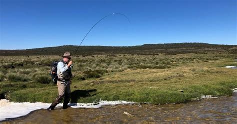 Fly Rod Weight Chart Choose The Best Rod For The Task