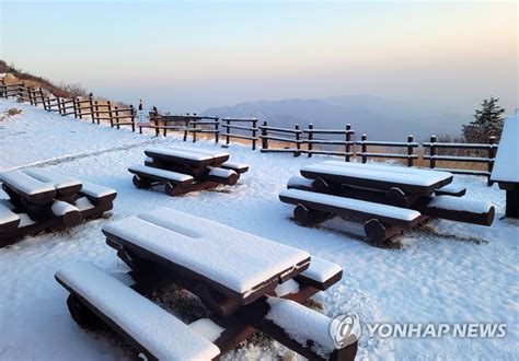 春なのに 연합뉴스
