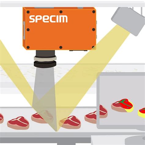 Improving Food Quality Inspection With Hyperspectral Imaging Konica