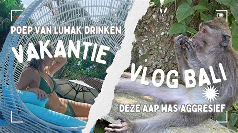 Aangevallen Door Apen Op Bali🙊 Vlog 12 Beau Rooda Youtube