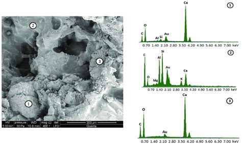 Scanning Electron Microscope Image Of The Reclaimed Asphalt Pavement
