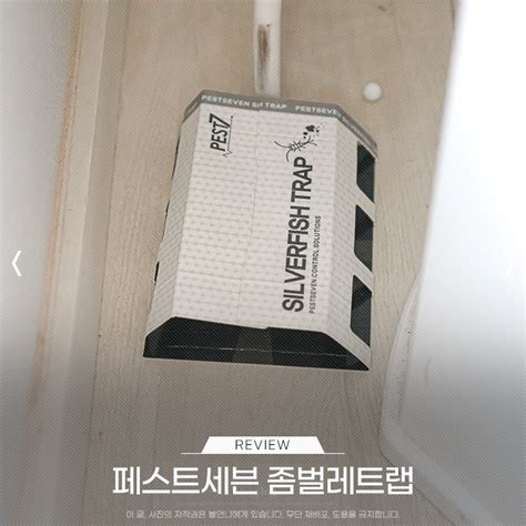 좀벌레 퇴치 방법 페스트세븐 먼지다듬이까지 네이버 블로그