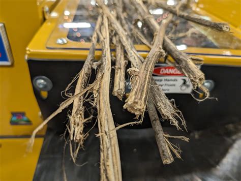 Hemp Research Decorticator Bish Decorticator