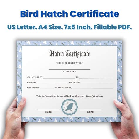Bird Hatch Certificate Bird Certificate Bird Adoption Certificate Etsy