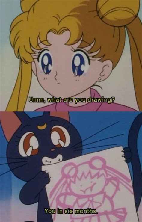 Memes De Sailor Moon