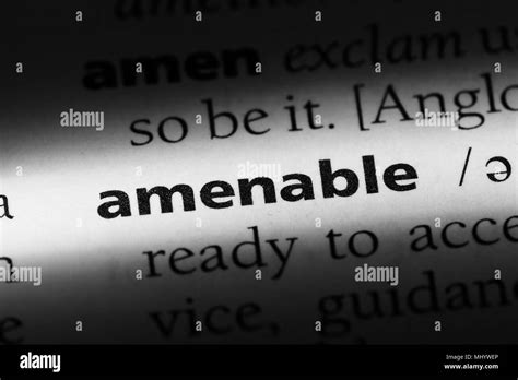 Definition Of A Amenable At Gemma Oconor Blog