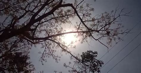 পাঠকের ছবি নাগরিক সংবাদ